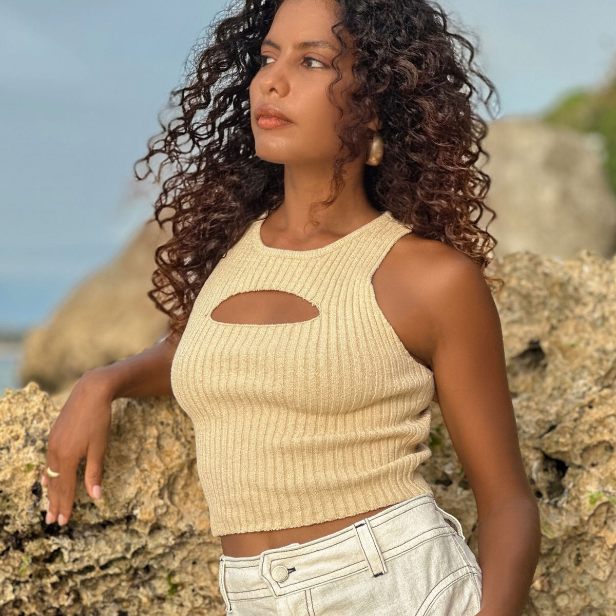 Begina Knitt Crop Top – Myth the Label